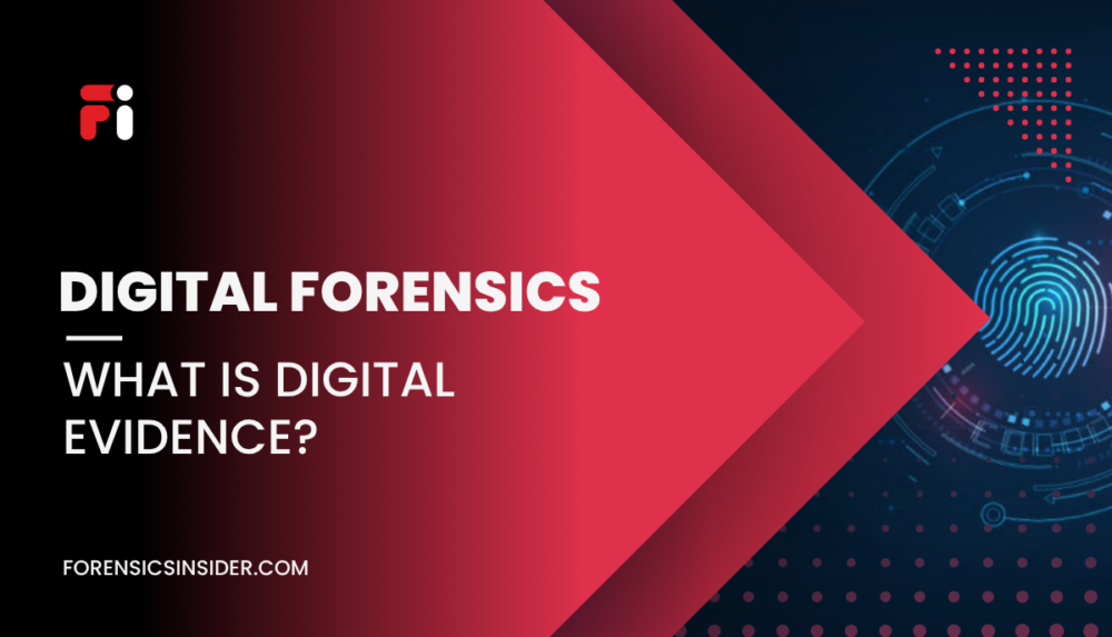 What Is Hash Analysis in Digital Forensics?
